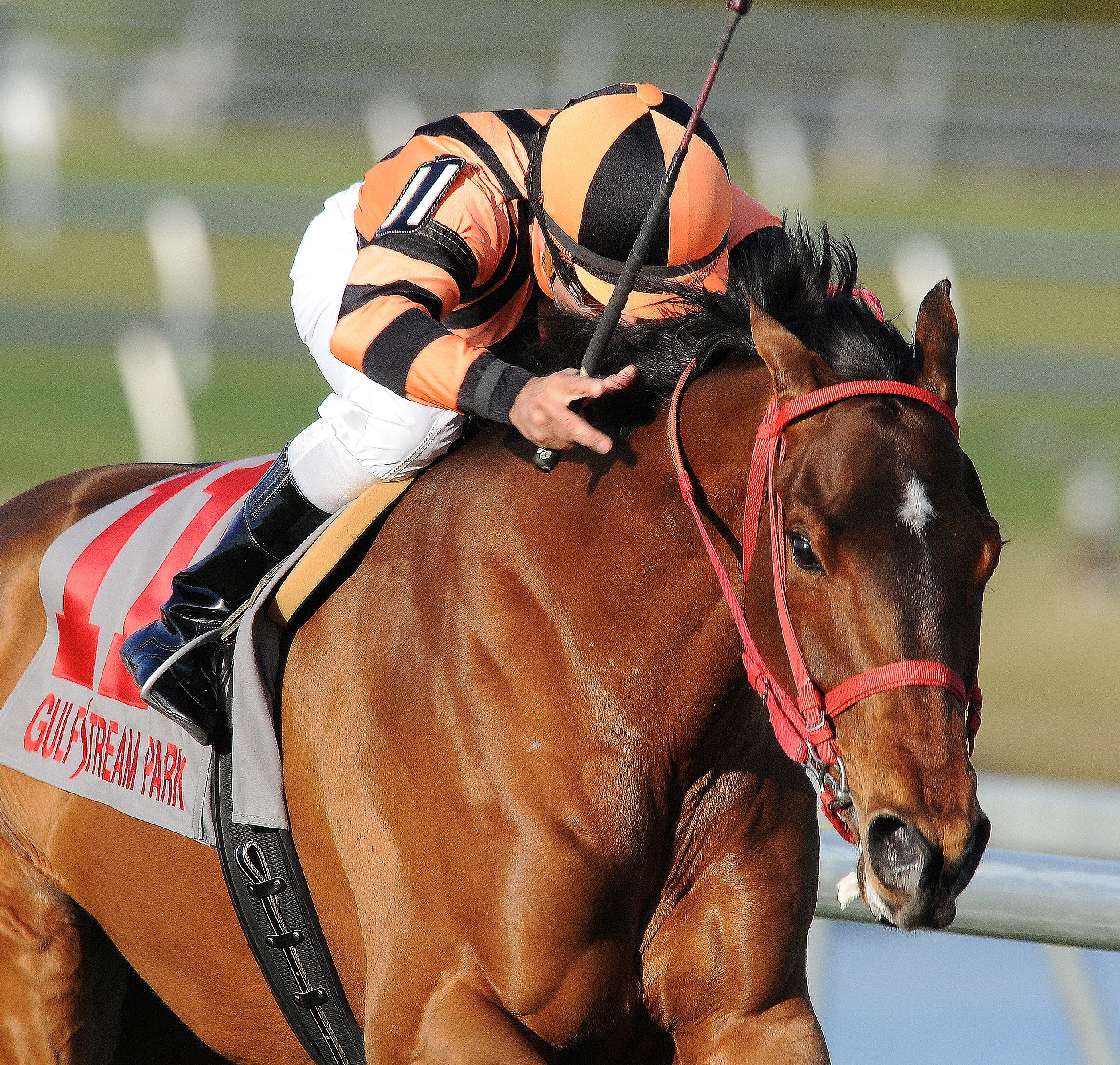 Little Mike changes barns