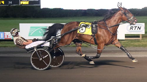 Meadowlands: Luke Hanners breaks out with driving double