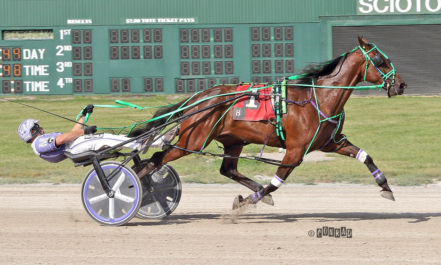 Harness: From buggy horse to 1:48 2/5 pacer