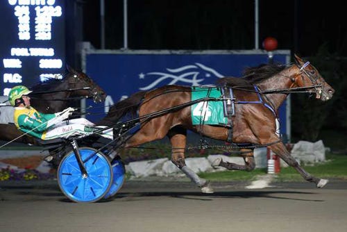 Mohawk: Field set for Maple Leaf Trot