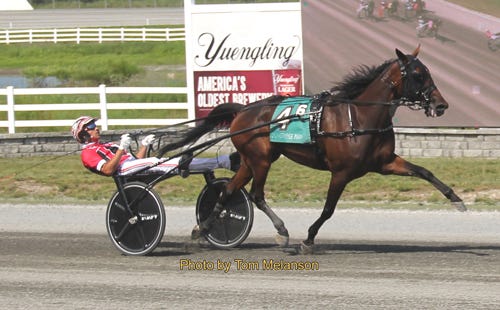Plainridge: Manchego adds another world record to her haul in Spirit Of ...
