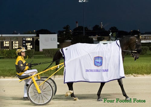 Hawthorne Harness: Big efforts mixed with surprises on Night Of Champions