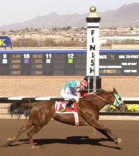 Mongoose Jet Eye sets world record