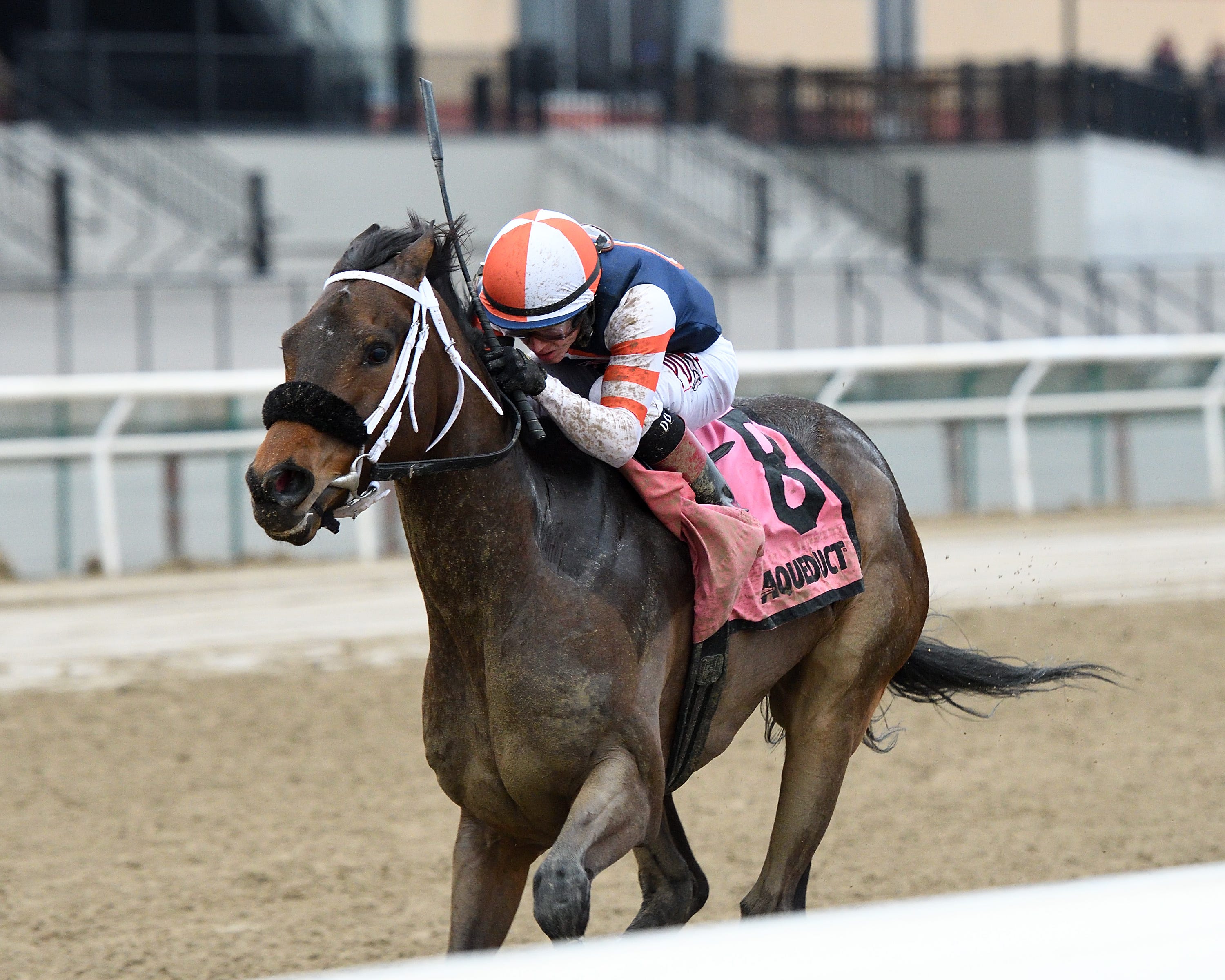 Dylan Davis's growing success has father swelling with pride