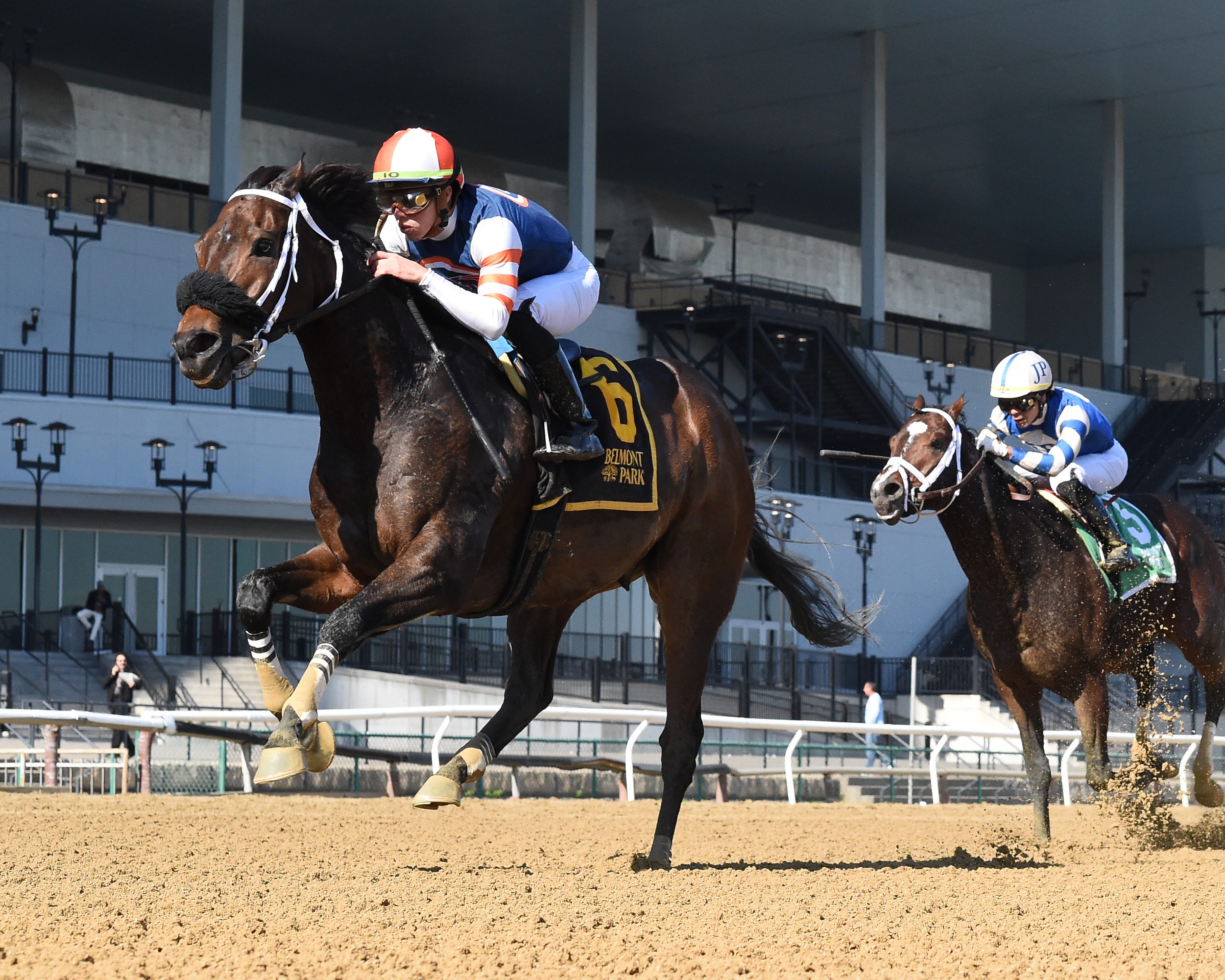 My Boy Tate surges in stretch, takes Hudson Stakes