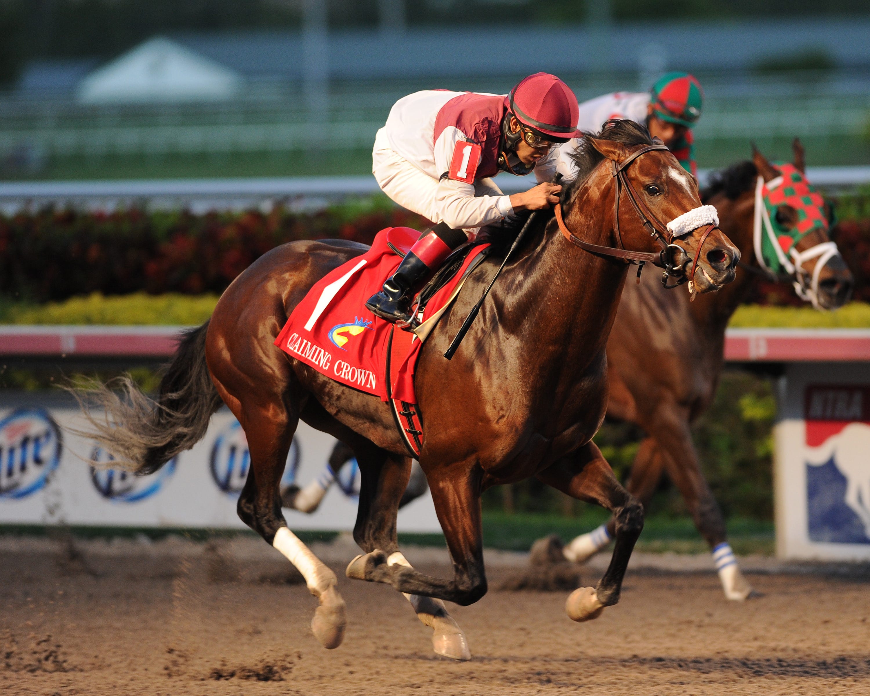 Gulfstream: Nevada Kid gives Zito first Claiming Crown win in Jewel