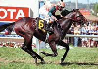 Frankel covers bases