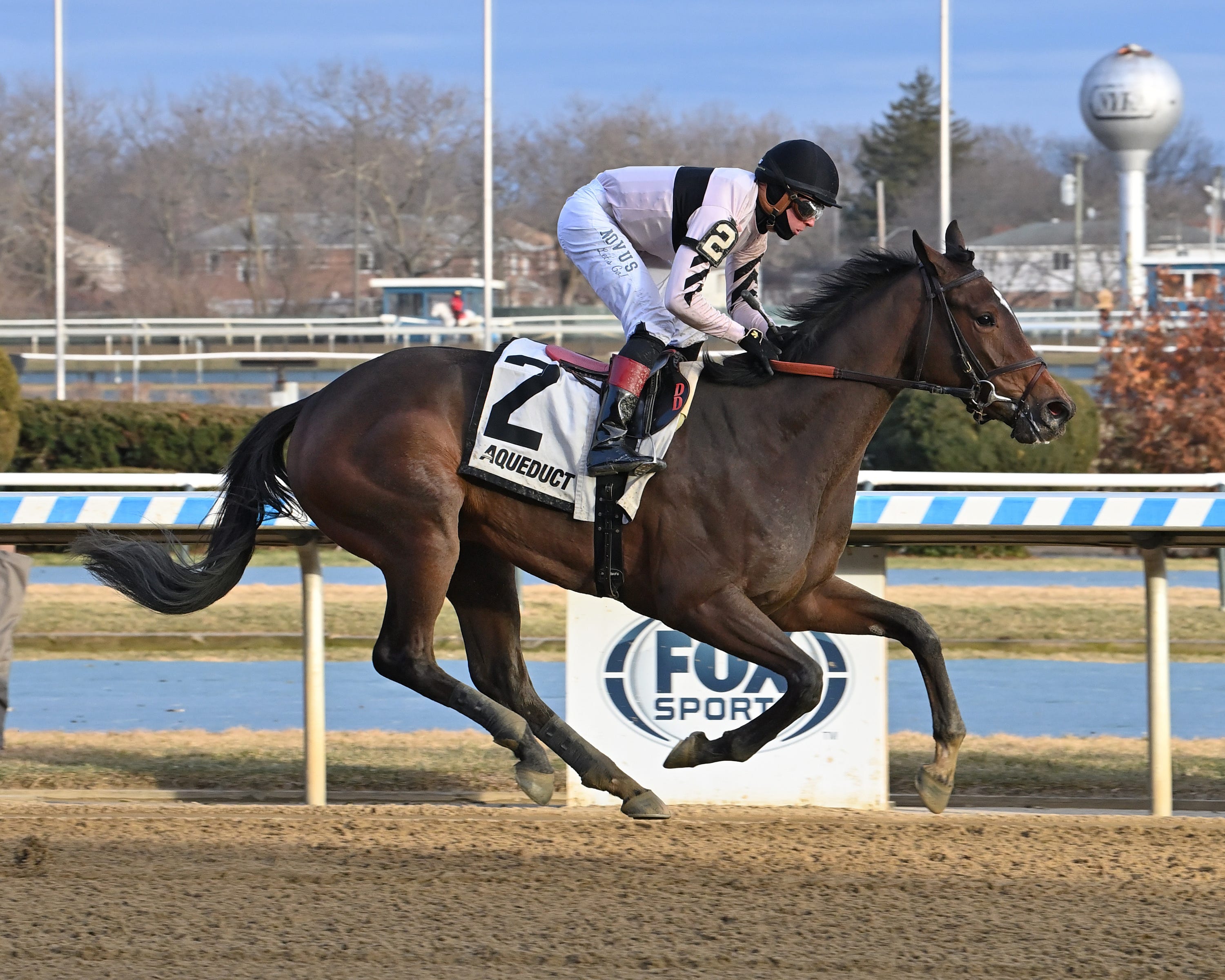 Occult pulls away to win stakes debut in Busanda