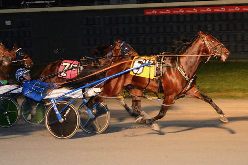 Dover: Pebble Beach, Niki Hill shine in Matron 3YO Paces