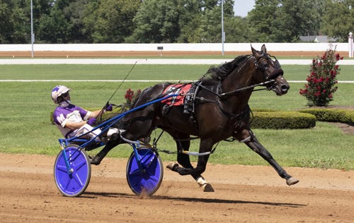 Harness: Ranking the top 3-year-old pacers for 2021