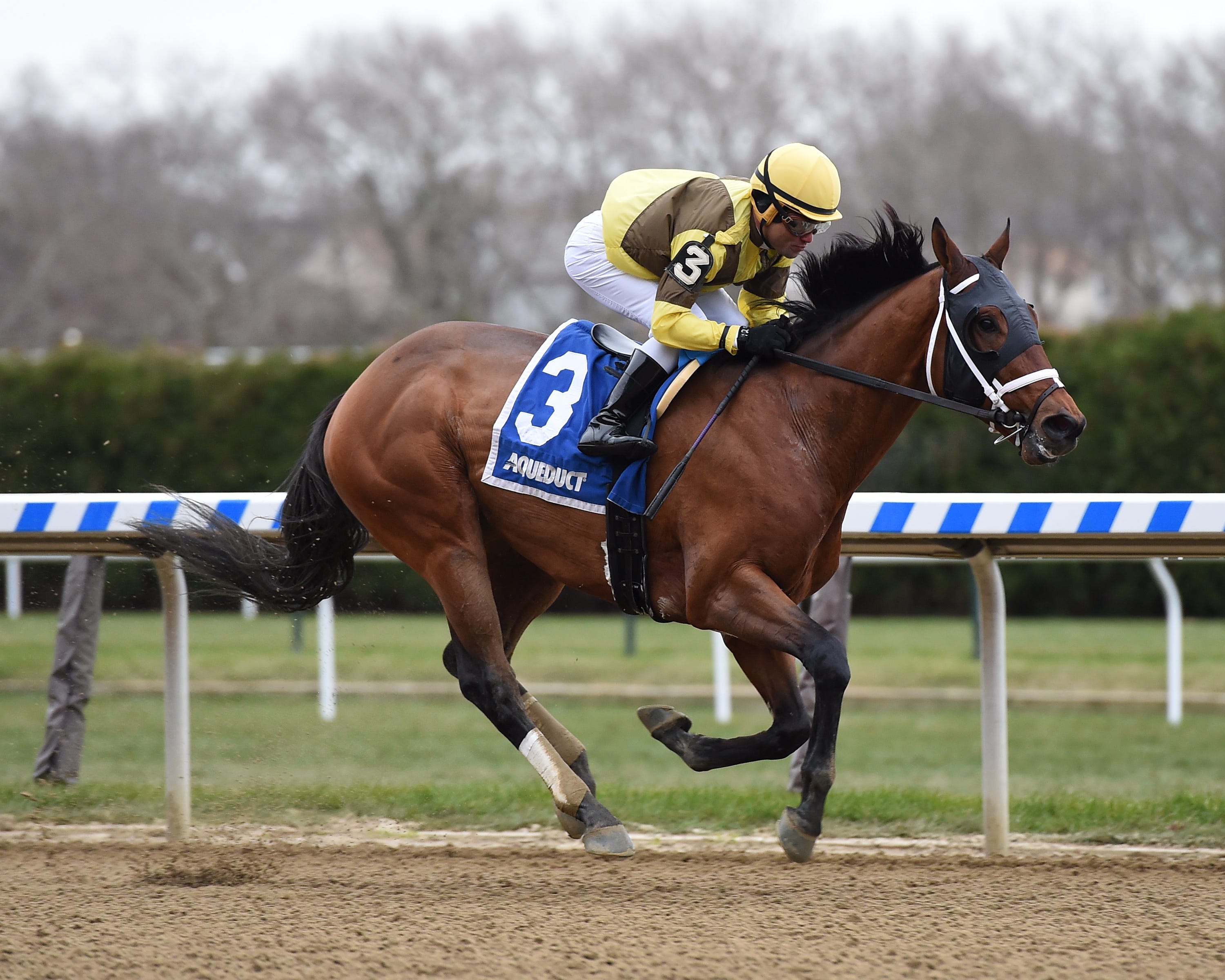 Plainsman proves best in Discovery