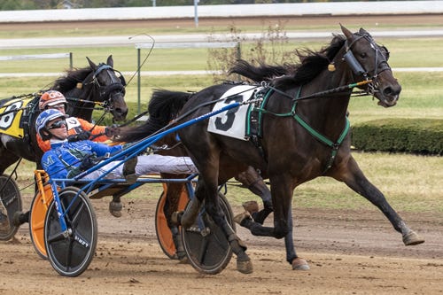 Red Mile: Prince Of Honor, Yes Please rally to take Corbin Sires Stakes ...