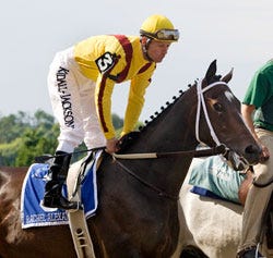 Rachel Alexandra bound for Haskell