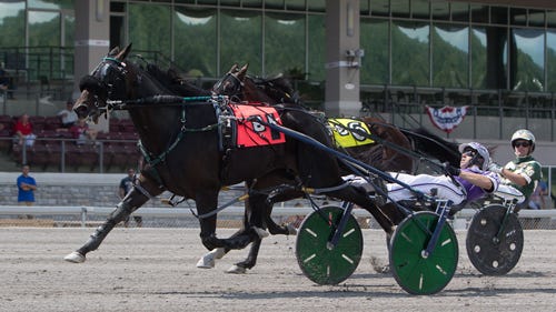 Harness: Roll With Joe producing results as a stallion