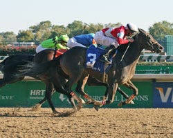 Distinctive Dixie sharp for allowance