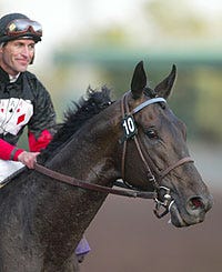 Rock Hard Ten, Congrats look ahead