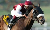 Ruler's Court demolishes field in Norfolk