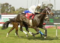 Scottsbluff sets world record in Bullet
