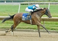Delaware Park: Joe Rocco Jr. ties track record by winning six races