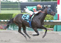 Sir Ray eyes shorter path to victory