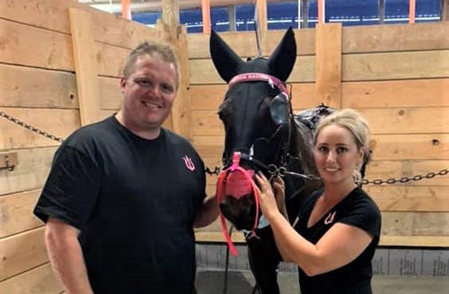 Harness: Tritton stable gearing up for Meadowlands/Yonkers and beyond