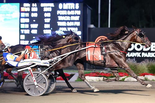 Woodbine Mohawk Park: Twin B Archie doesn't disappoint in OSS Gold Series