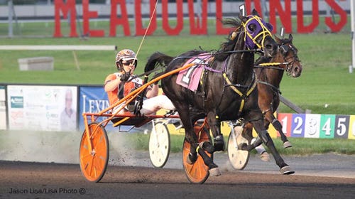 Harness: Next generation drivers looking to make their marks