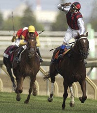 Catching Up With: Wando