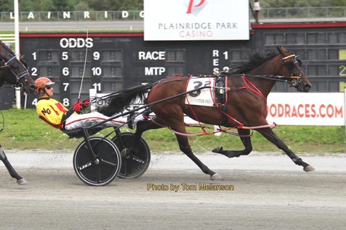 Plainridge: Massachusetts Sire Stakes season begins