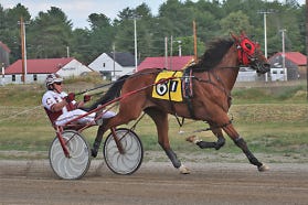 Harness: The rebirth of Walter Case Jr.