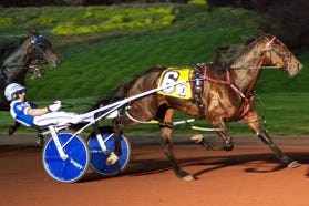 Harness: Breaking down the 3-year-old male pacers