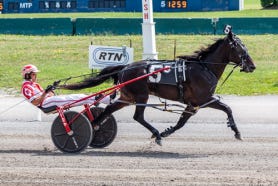 Buffalo: Boston Rocks, Darius score in New York Sire Stakes