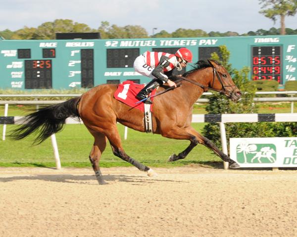 Tampa Bay Downs: Risky Rachel scores in Minaret Stakes