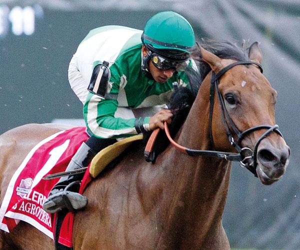 2014 Eclipse Awards: Artemis Agrotera