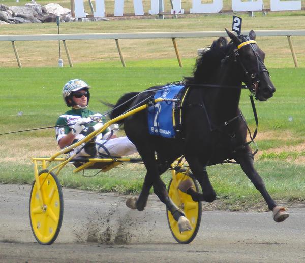 Red Mile: The best in Harness on display in Saturday stakes
