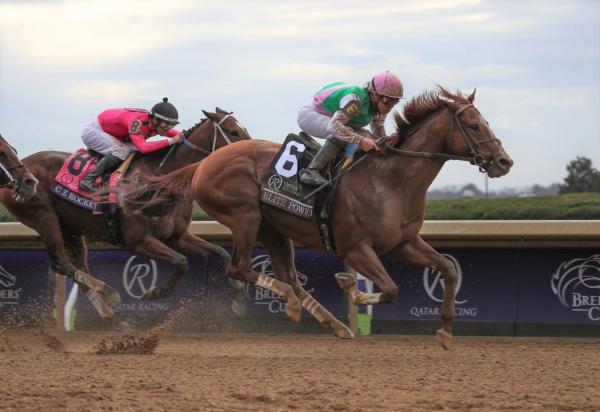 Breeders' Cup sprint race winners Elite Power, Goodnight Olive have a ...
