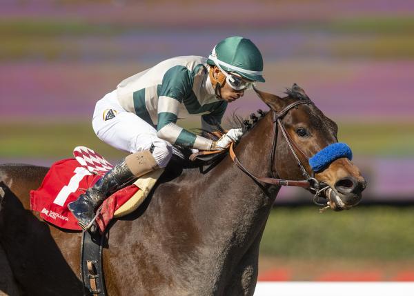 Favorites have obstacles to overcome in Santa Ysabel Stakes