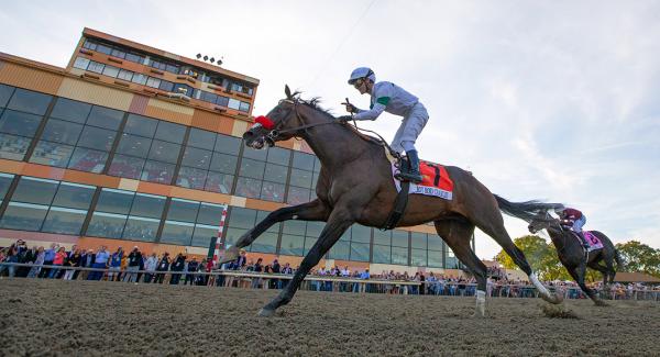 Hot Rod Charlie apunta hacia la Dubai World Cup G1 en Meydan