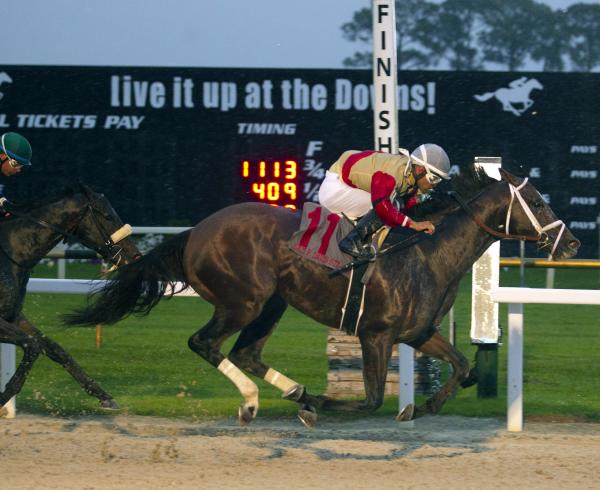 Road to the 2023 Kentucky Derby: Sam F. Davis Stakes analysis