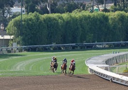 DRF's Horse Racing Playbook for Friday, March 17, 2023