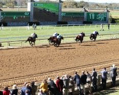 DRF's Horse Racing Playbook for Wednesday, April 19, 2023