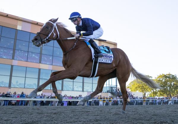 Progeny of Gun Runner win five stakes on Saturday