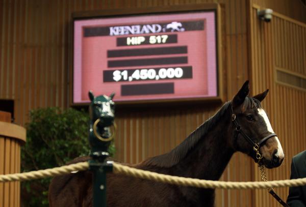 Keeneland January sale: Street Sense filly to Regis Farms for $1.45 million