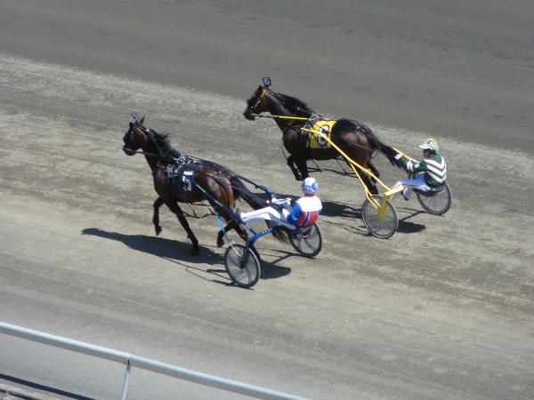 Harness Racing: Sweet Lou among sharp pacing qualifiers at Meadowlands