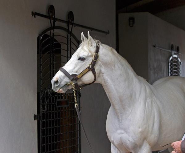 Tapit would tie all-time record with a fourth Belmont Stakes winner