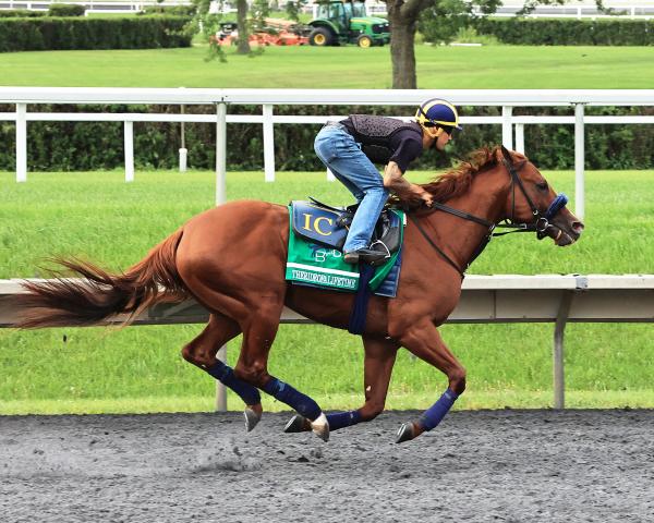 Calhoun has two chances to jump-start stable in allowance