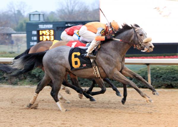 Win Willy gets Oaklawn meet off to a bang in Fifth Season