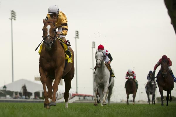 Breeders' Cup Mile: Wise Dan gets green light for Shadwell Mile
