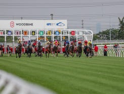 DRF's Horse Racing Playbook for Thursday, June 15, 2023