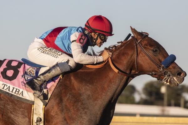 Taiba takes solid victory over strong Pennsylvania Derby field